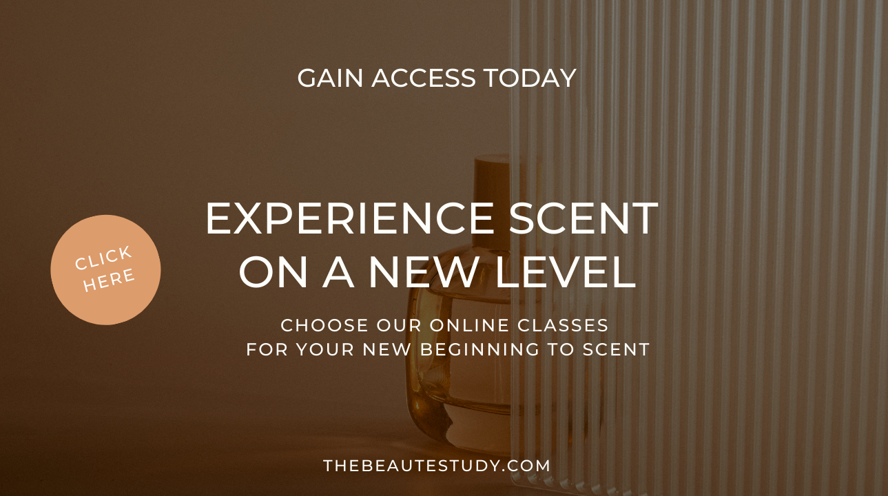 The Beauté Study - The Guide Teaching Women the Power of Their Beauty